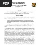 USA Soldier Leader Risk Reduction Tool | PDF | Risk | Family