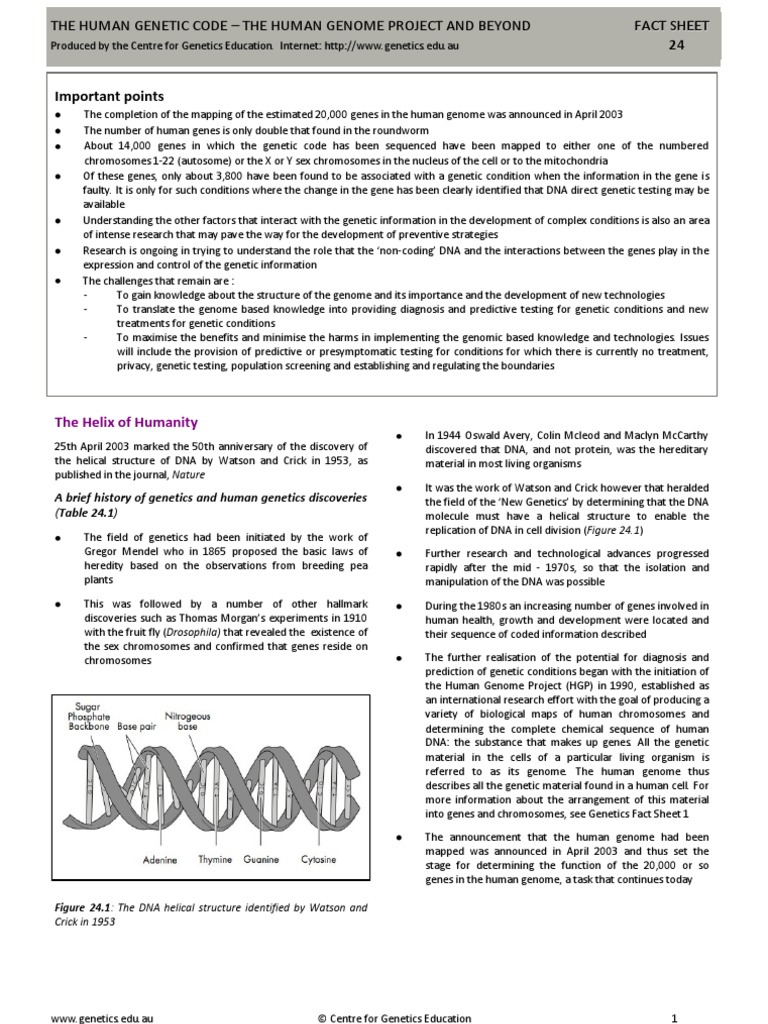 The Human Genetic Code The Human Genome Codeand Beyond FS24 | PDF