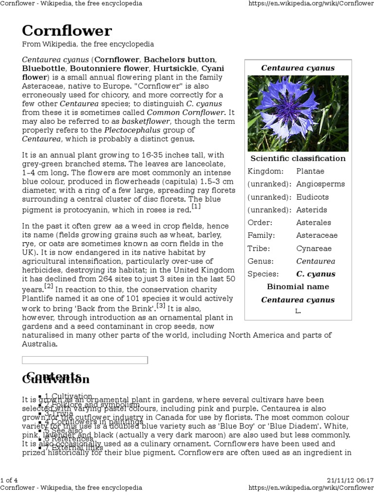 Cornflower | PDF | Domesticated Plants | Agriculture