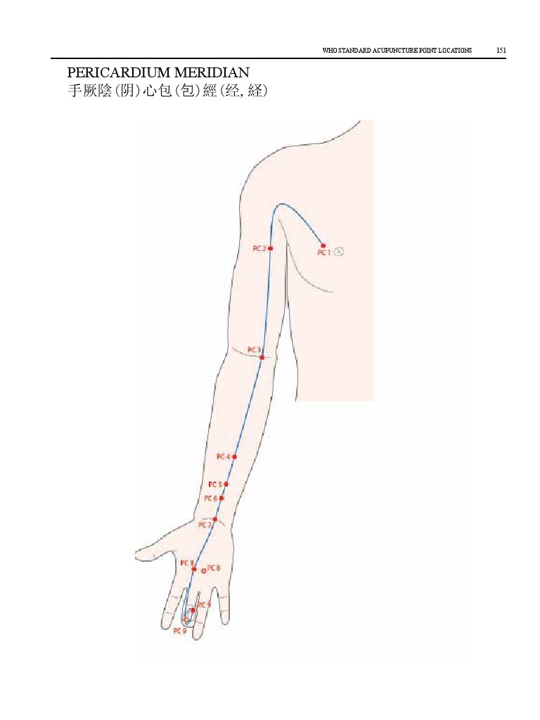 6 WHO Standard Acupuncture Point Locations in the Westernpart 6 | Hand ...