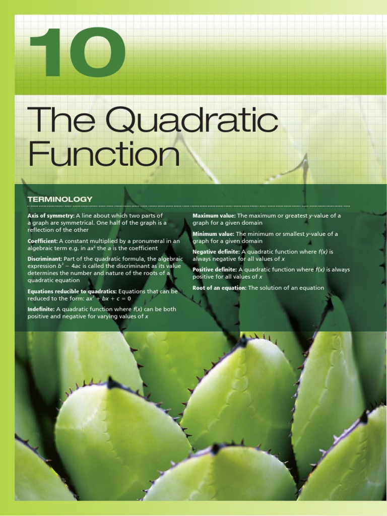 Ch10 The Quadratic Function | PDF | Quadratic Equation | Equations