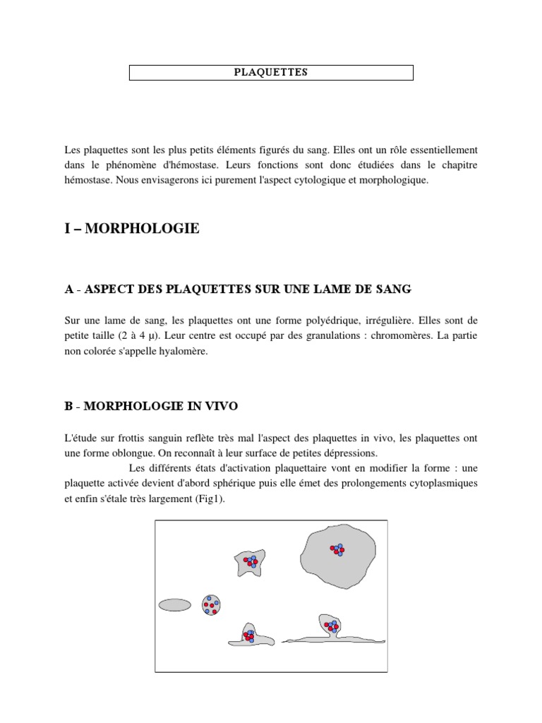 Rôle et morphologie des plaquettes sanguines | PDF | Thrombocyte ...