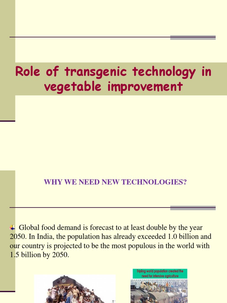 Role of Transgenic Technology | PDF | Genetically Modified Crops ...