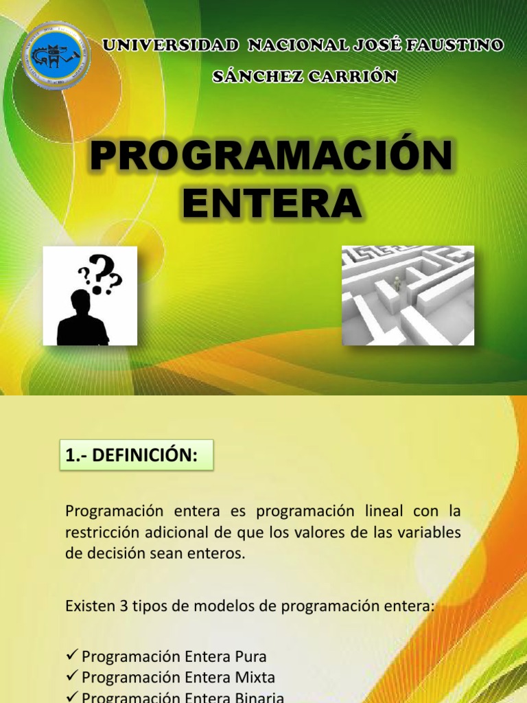 Programación Entera | PDF | Conceptos matemáticos | Enseñanza de matemática