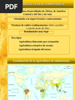 Sistema de Roza y Quema Maya | PDF | México | Agricultura