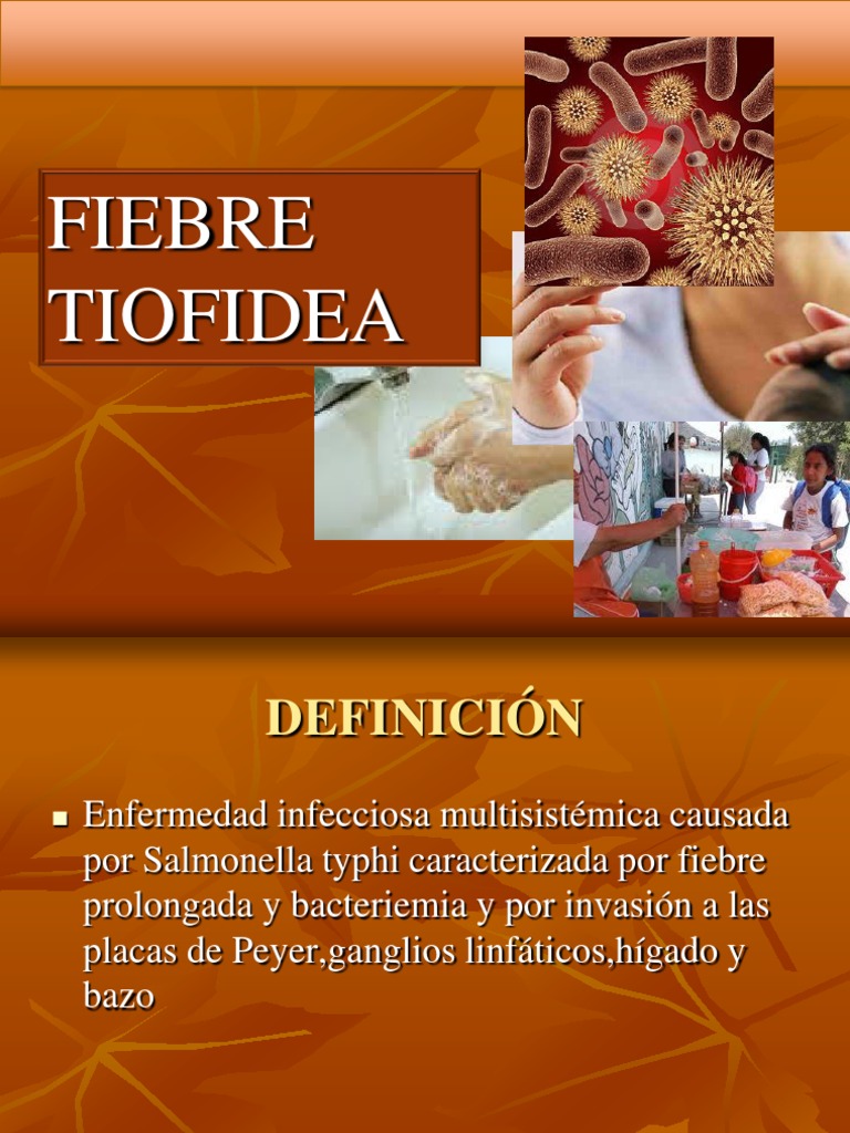fiebre tifoidea | Salmonela | Inmunología