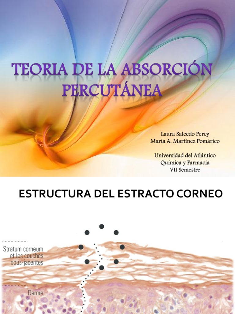 Expocición Teoria de La Absorcion Percutanea | PDF | Piel | Absorción ...