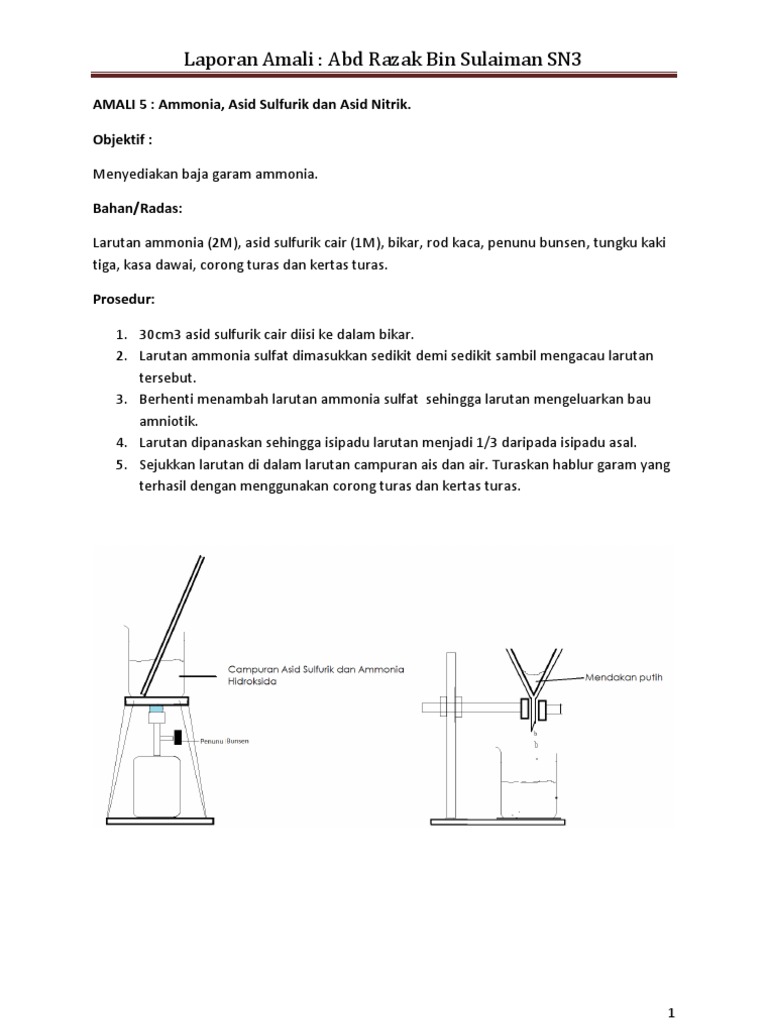 AMALI 5 Ammonia, Asid Sulfurik Dan Asid Nitrik | PDF