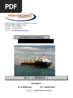 Bunker Survey and Calculation Guide | PDF | Fuel Oil | Density