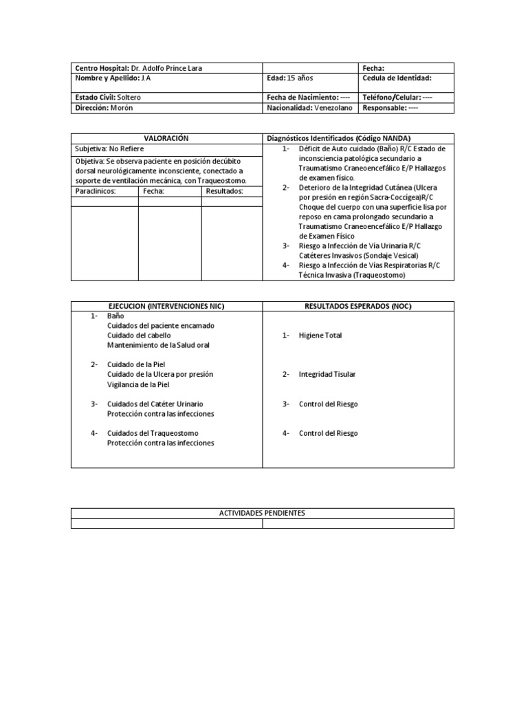 Formato Nanda NIC - NOC | PDF | Lesión cerebral traumática | Cuidado de ...