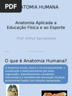 Classificação do Somatotipo Humano | PDF | Humano | Anatomia humana