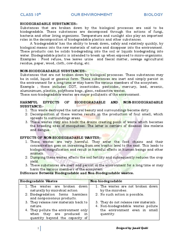Our Environment Notes Class X | PDF | Food Web | Ecosystem