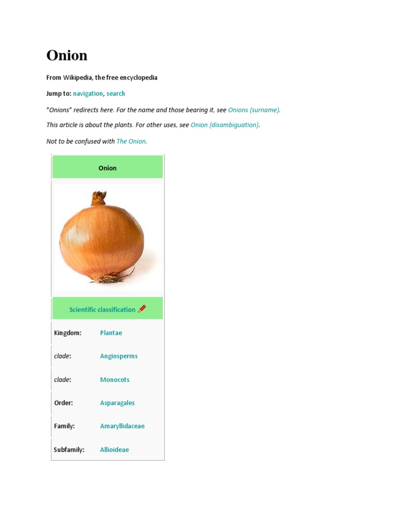 Onion: Navigation Search | PDF | Onion | Agriculture