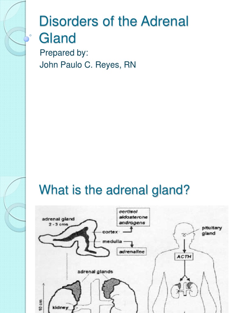 Disorders of the Adrenal Gland Lecture | Adrenal Gland | Clinical Medicine