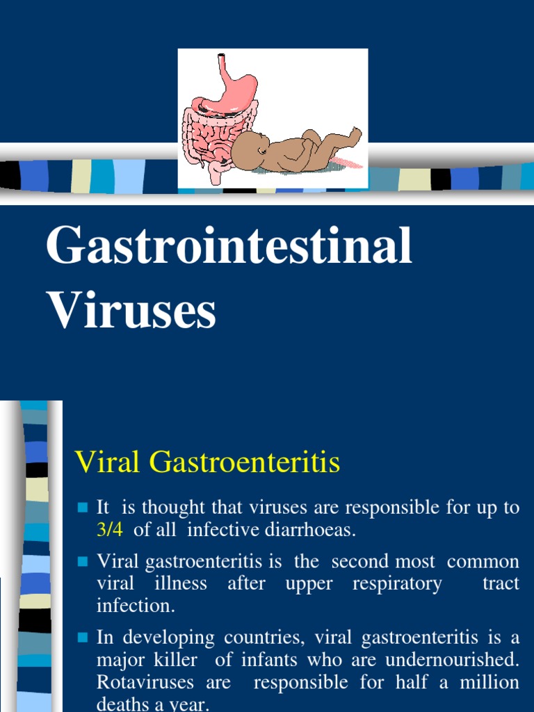 Gastrointestinal Viruses | Download Free PDF | Virus | Infection