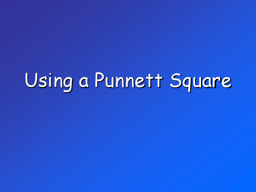 Understanding Punnett Squares | PDF | Language Arts & Discipline