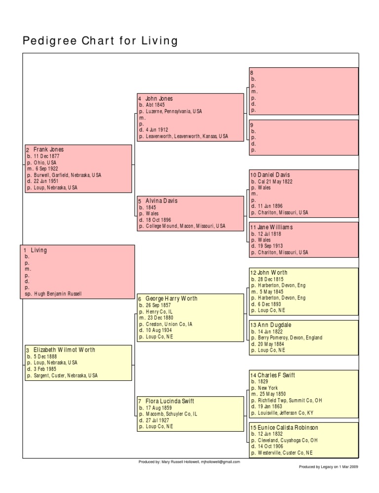 Jones Family Tree | PDF