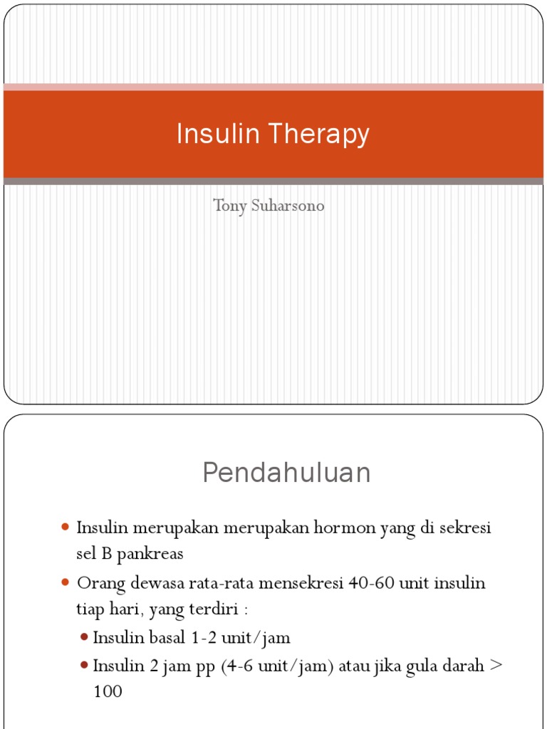 Panduan Terapi Insulin untuk Diabetes | PDF