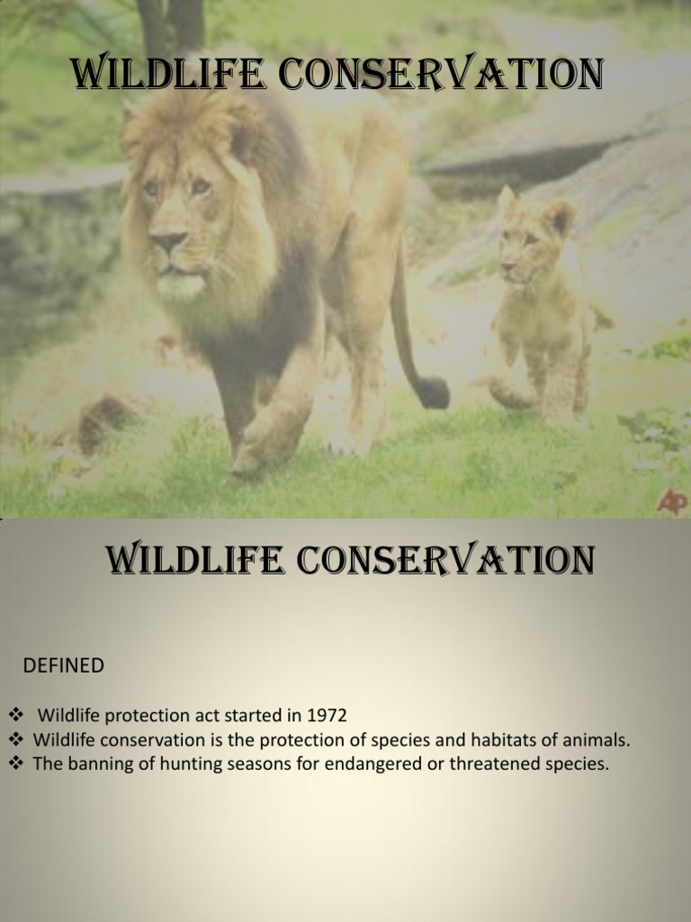 Wildlife Conservation | PDF | Wildlife | Conservation Biology
