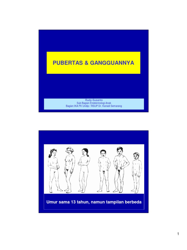 Pubertas Dan Gangguannya - DR Rudy Susanto | PDF | Pengembangan Diri