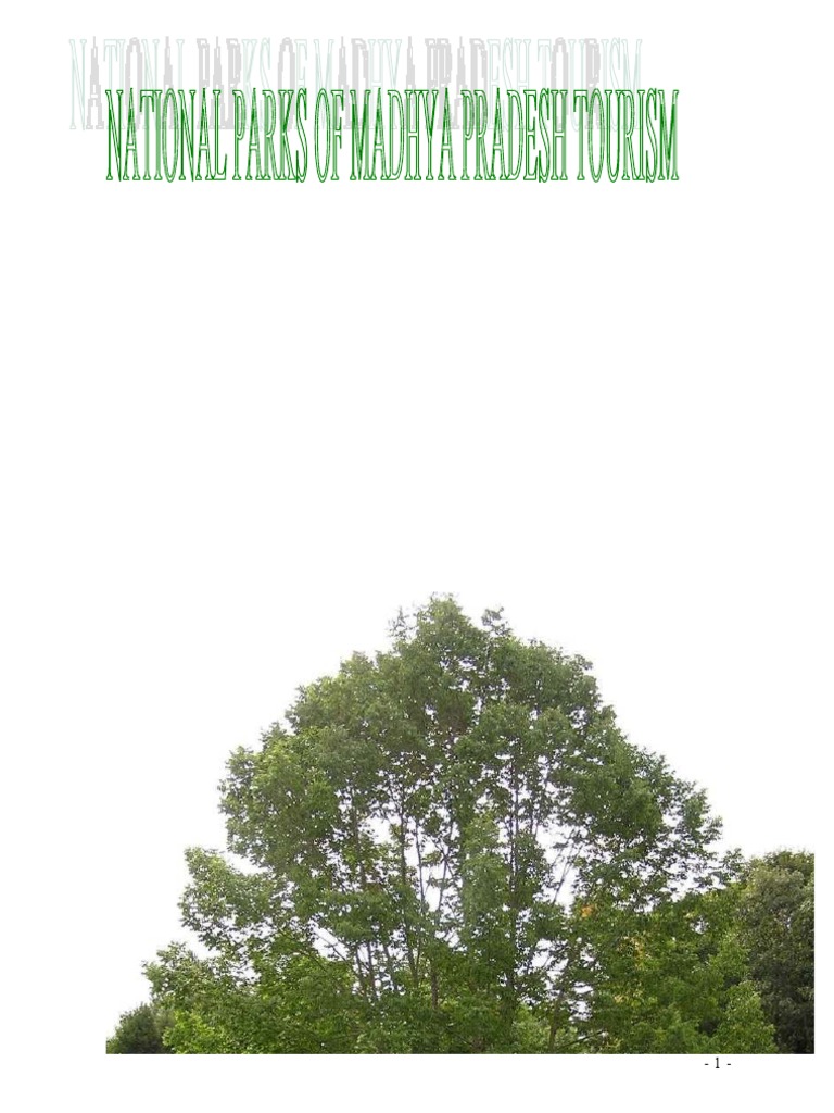 National Parks and Madhya Pradesh Tourism | PDF | National Park Service ...