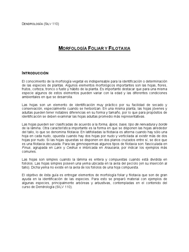 Morfología Foliar y Filotaxia en Plantas | PDF | Hoja | Tallo de la planta