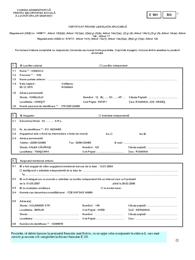 E 101 Model de Completare | PDF