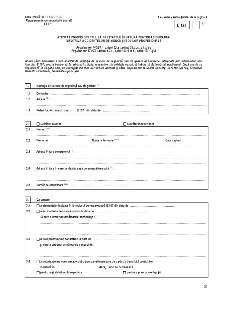 E 123 Prestatii in Natura Pentru Asigurarea La Accidente de Munca Si ...