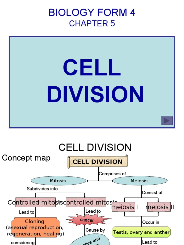 Bio f4 Chap 5 Cell Division | PDF | Meiosis | Mitosis