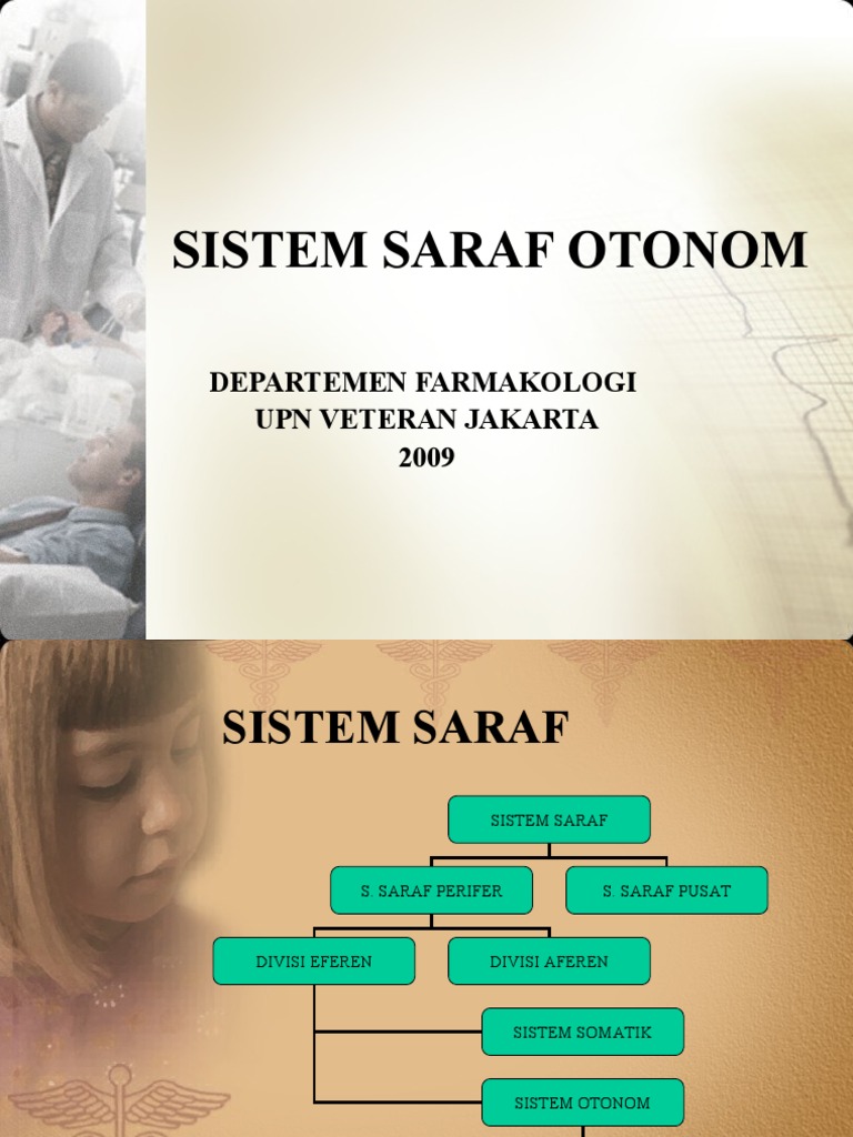 Sistem Saraf Otonom | PDF
