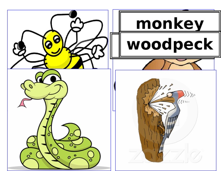 Animal Names: Monkey, Bee, Woodpecker, Snake | PDF