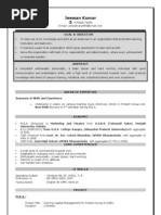 CA Inter Resume Format | PDF | Cognition | Cognitive Science
