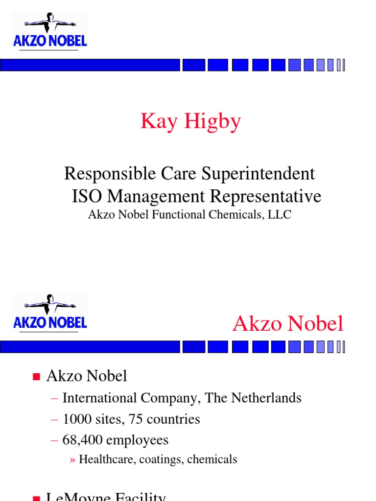 Akzo Nobel | PDF | Business | Wellness