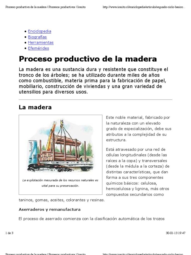 Proceso Productivo de La Madera | Procesos Productivos | Icarito ...