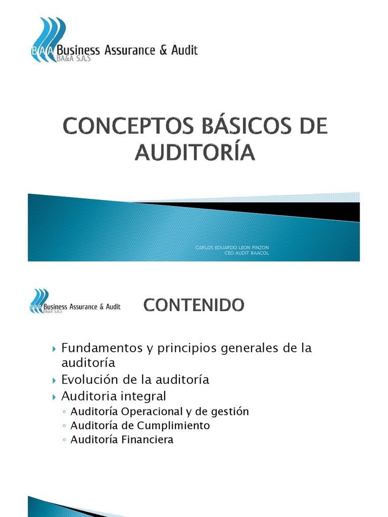 819949993.conceptos Basicos de Auditoria | PDF | Auditoría financiera | Contabilidad