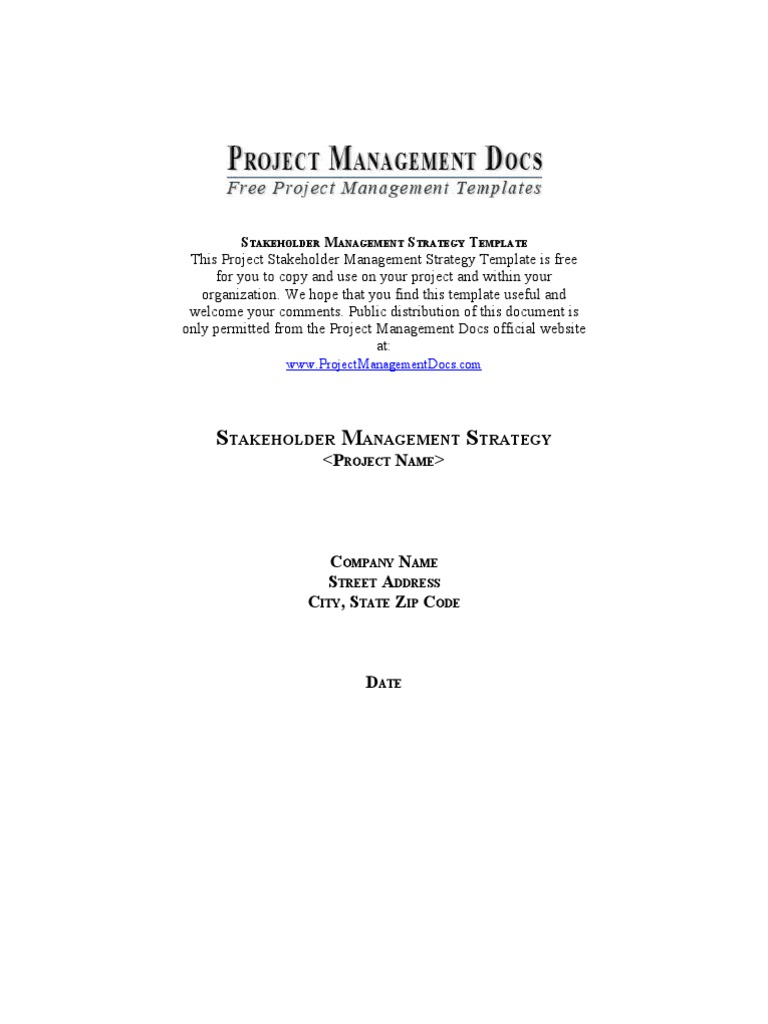 Stakeholder Management Strategy Template | PDF