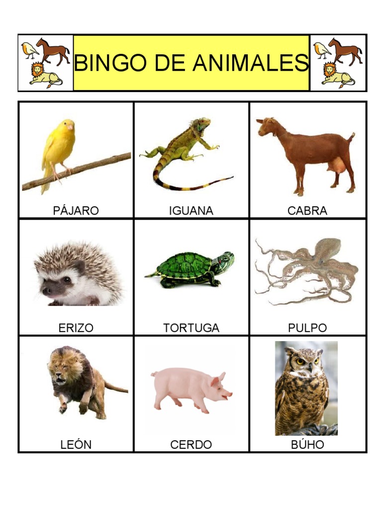 Bingo de Animales Fotos | PDF