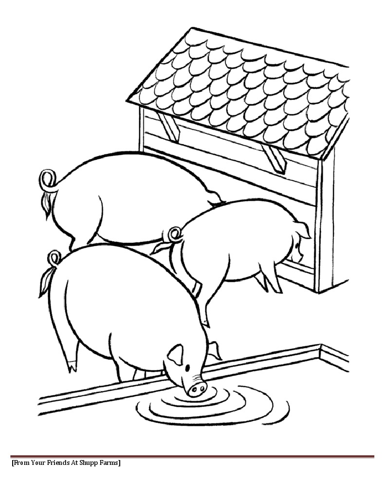 Pigs Pigging Out | PDF