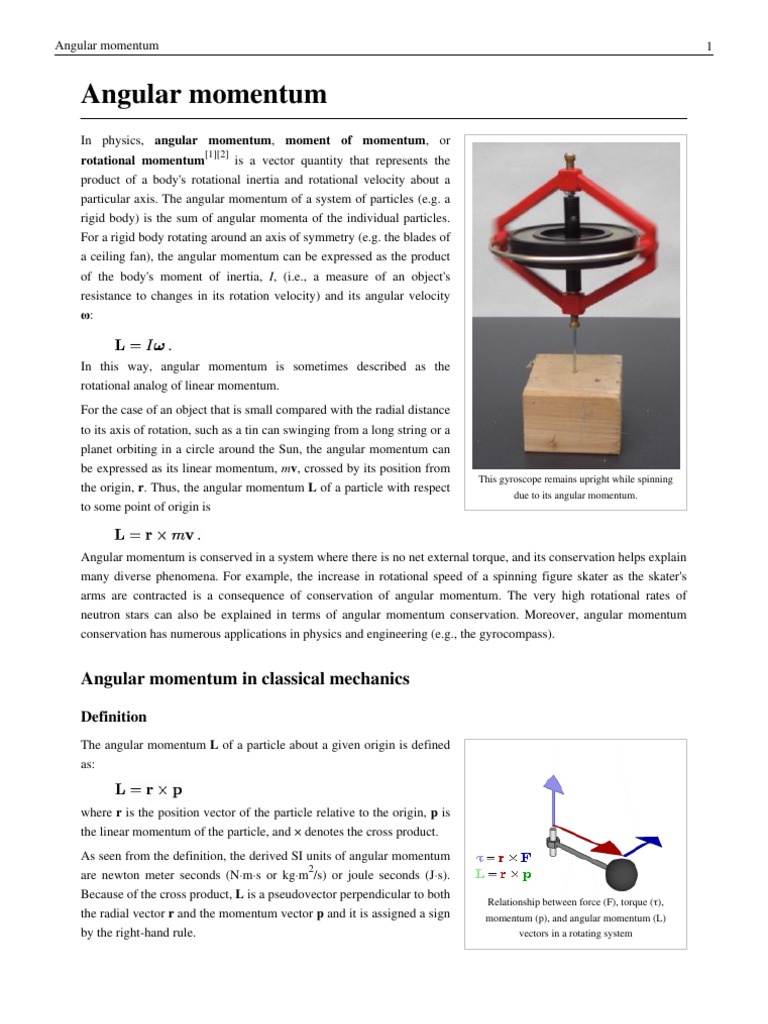 Angular Momentum | PDF | Angular Momentum | Rotation Around A Fixed Axis