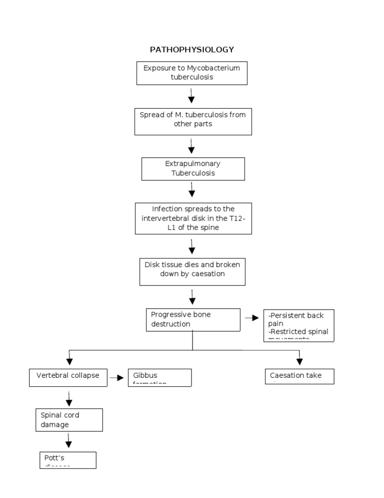 Pathophysiology | PDF