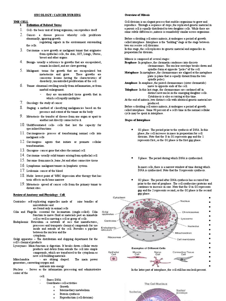 Oncology Notes | PDF | Leukemia | Mitosis
