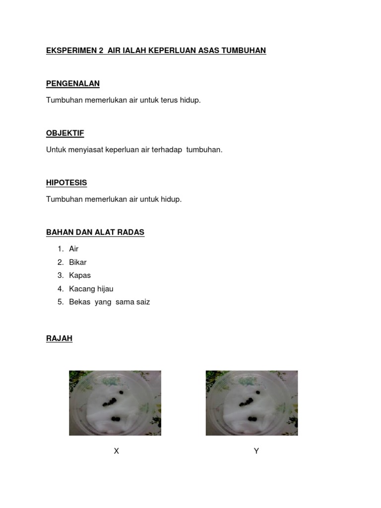 SCE 3101 Laporan Eksperimen | PDF