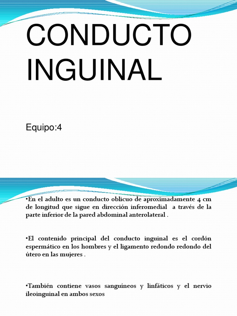 Inguinal | PDF | Abdomen | Anatomia animal