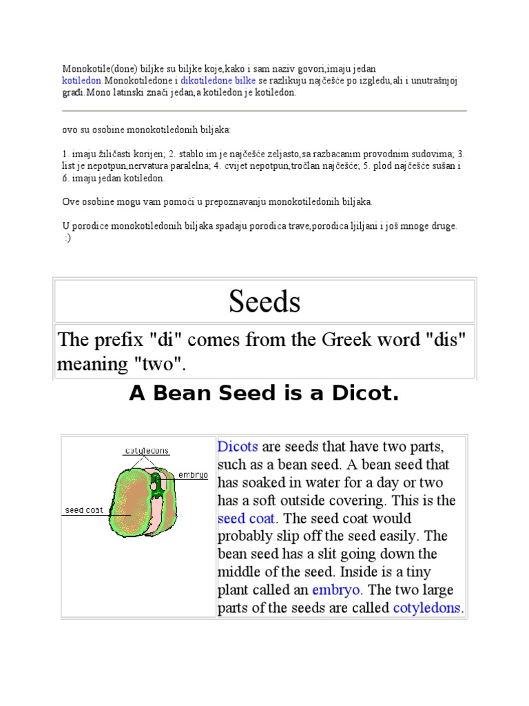 Seeds: The Prefix "Di" Comes From The Greek Word "Dis" Meaning "Two ...
