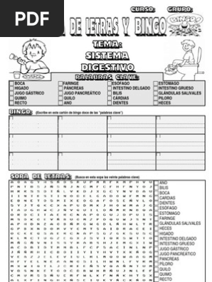 Bingo del sistema digestivo humano con imagenes 10 cartillas paginas de ...