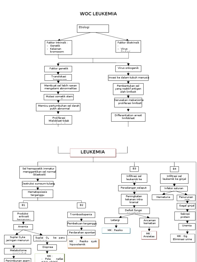 Woc Leukemia | PDF