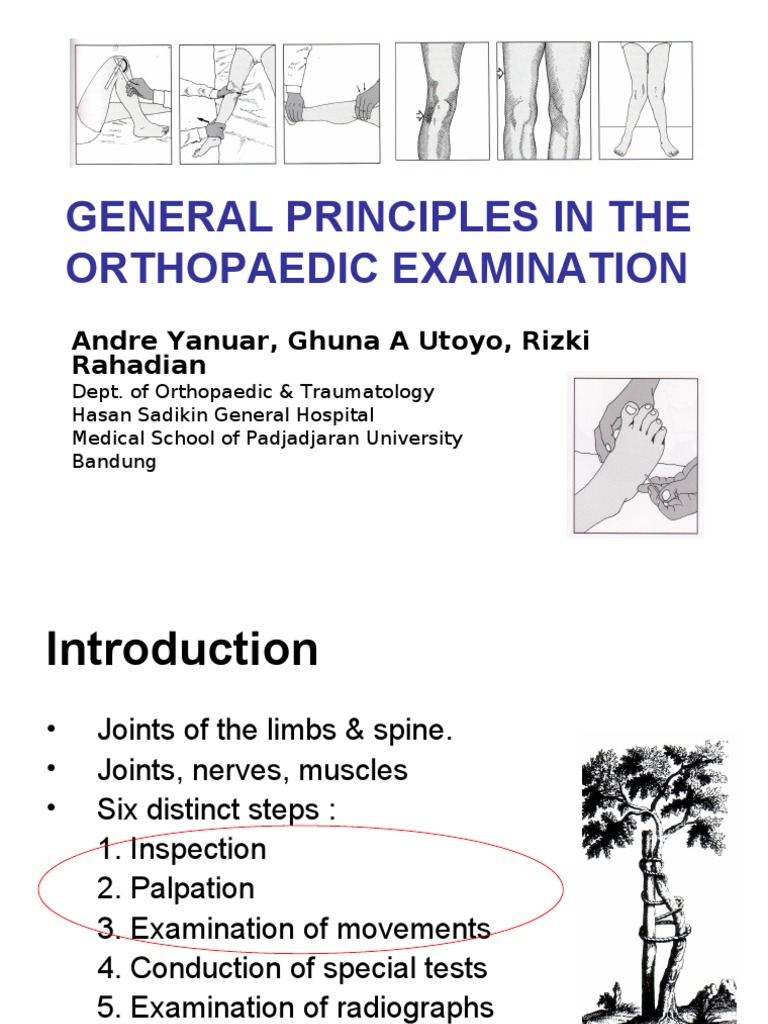 Orthopaedic Physical Examination General Principles | PDF | Physical ...