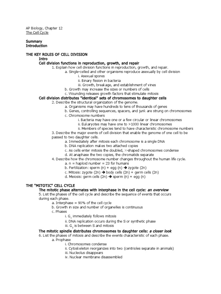 Ap Bio Chapter 12 Notes Pdf Mitosis Meiosis