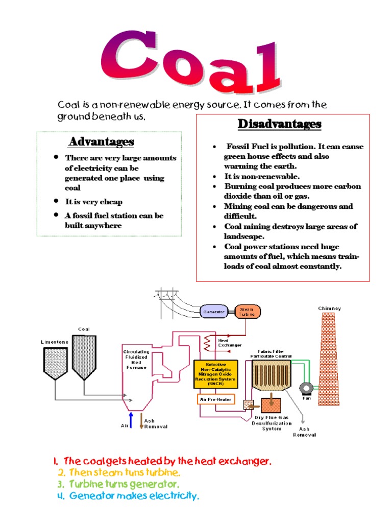 Microsoft Word - Fact File - Coal | PDF | Technology & Engineering