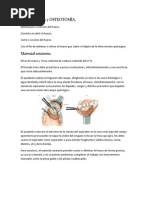 Extracción de Restos Radiculares | PDF | Boca | Odontología